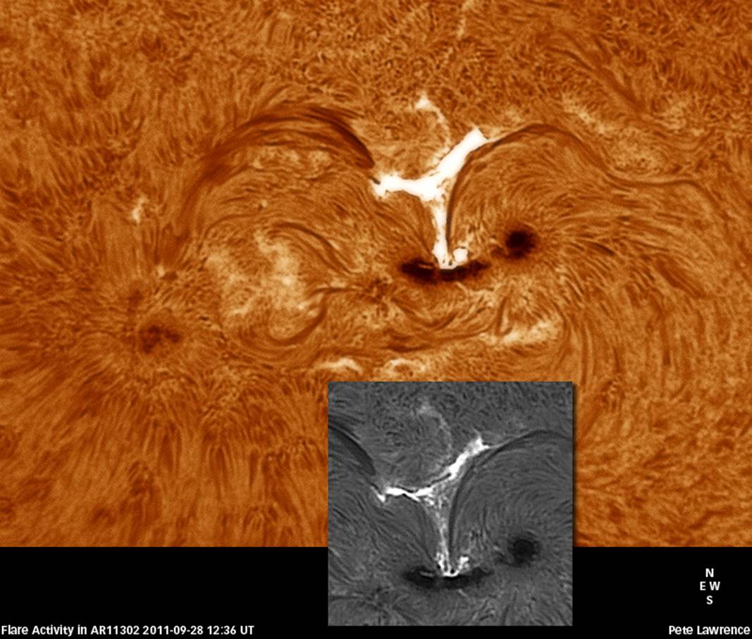 Solar＆Planetary LtE Now for CMO/ISMO #16 (CMO #390)